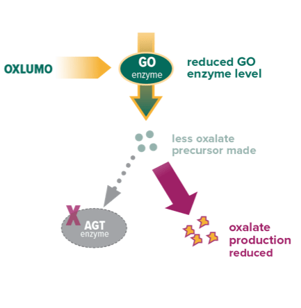 Mechanism of Action | OXLUMO® (lumasiran)