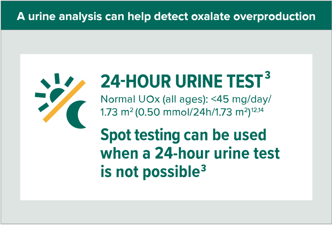 About Primary Hyperoxaluria Type 1 | OXLUMO® (lumasiran)